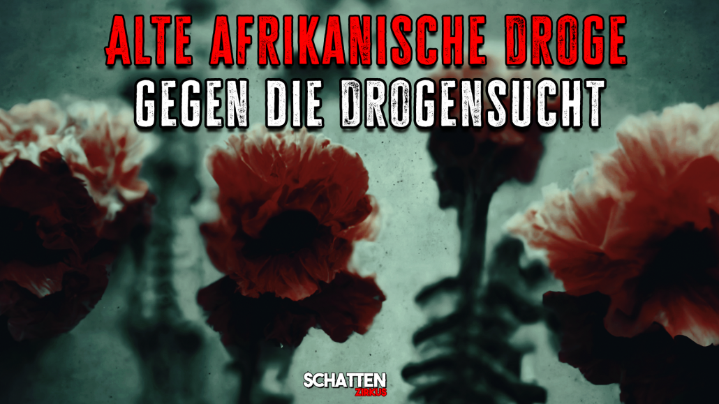 Die Legende des Domowoj - SchattenZirkus